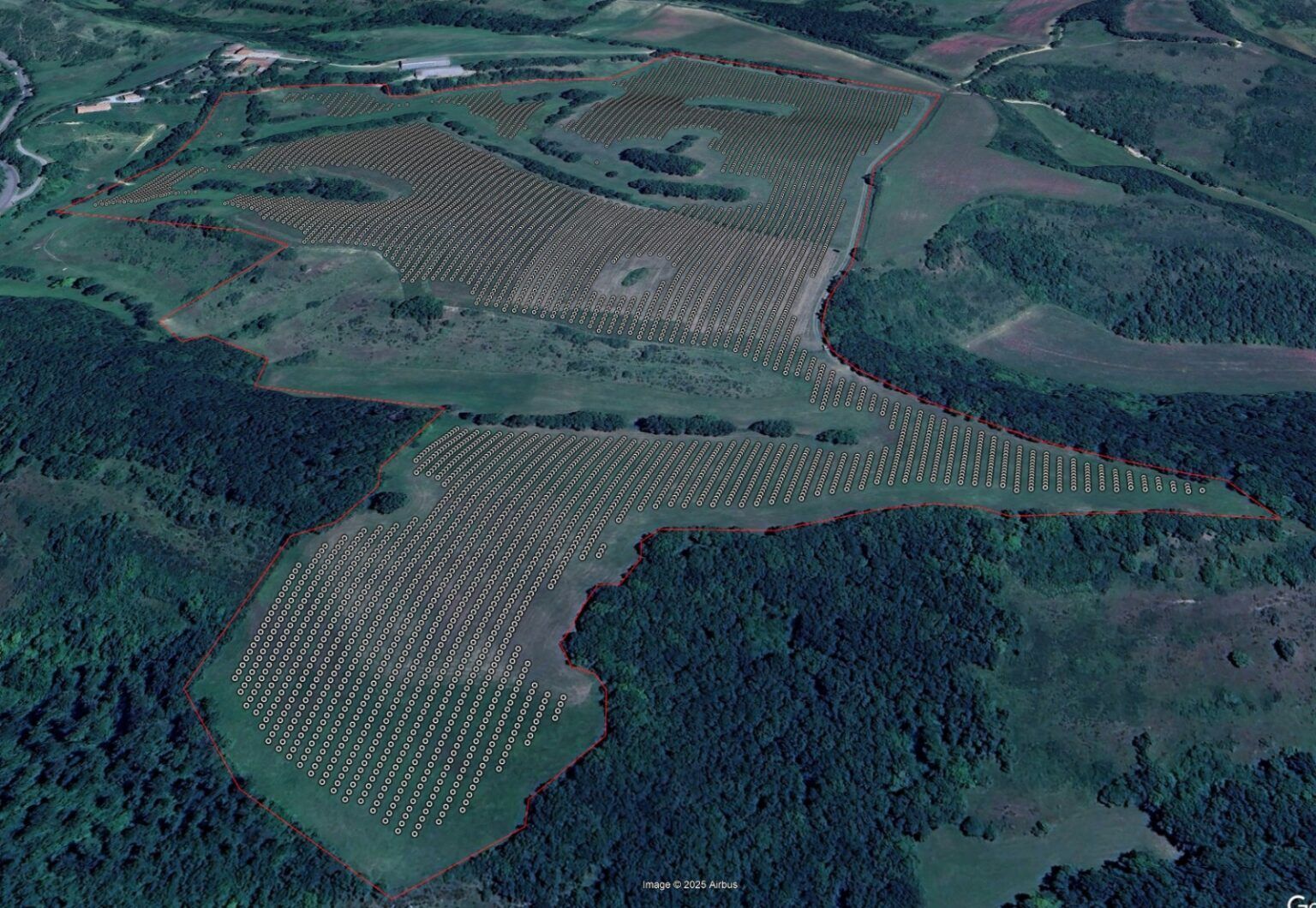 Consultancy & Field Visits For Truffle Growers - Micofora